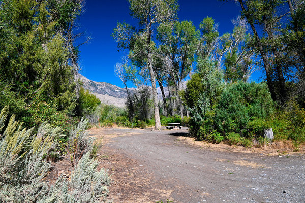 Big Lost River Lower Campground Reviews updated 2020