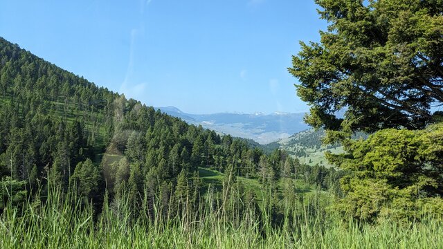 Timber Camp Campground Reviews updated 2025