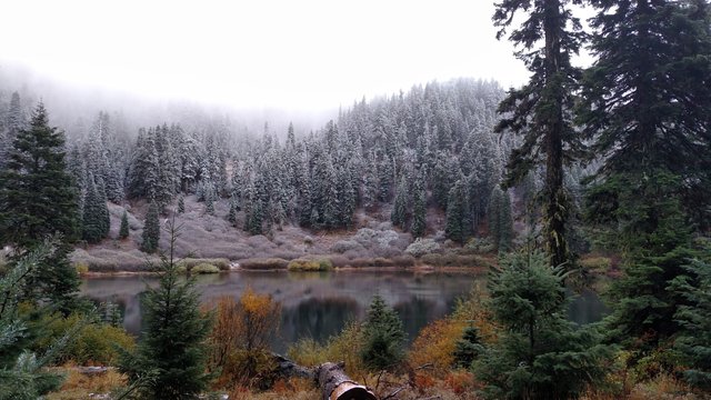 Bolan Lake Campground updated 2025