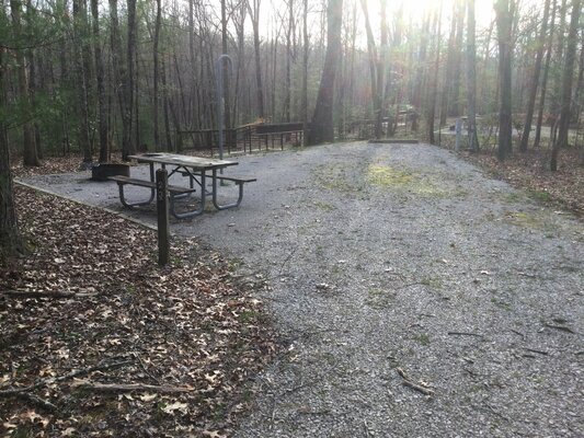 Station Camp Equestrian Campground Reviews updated 2026