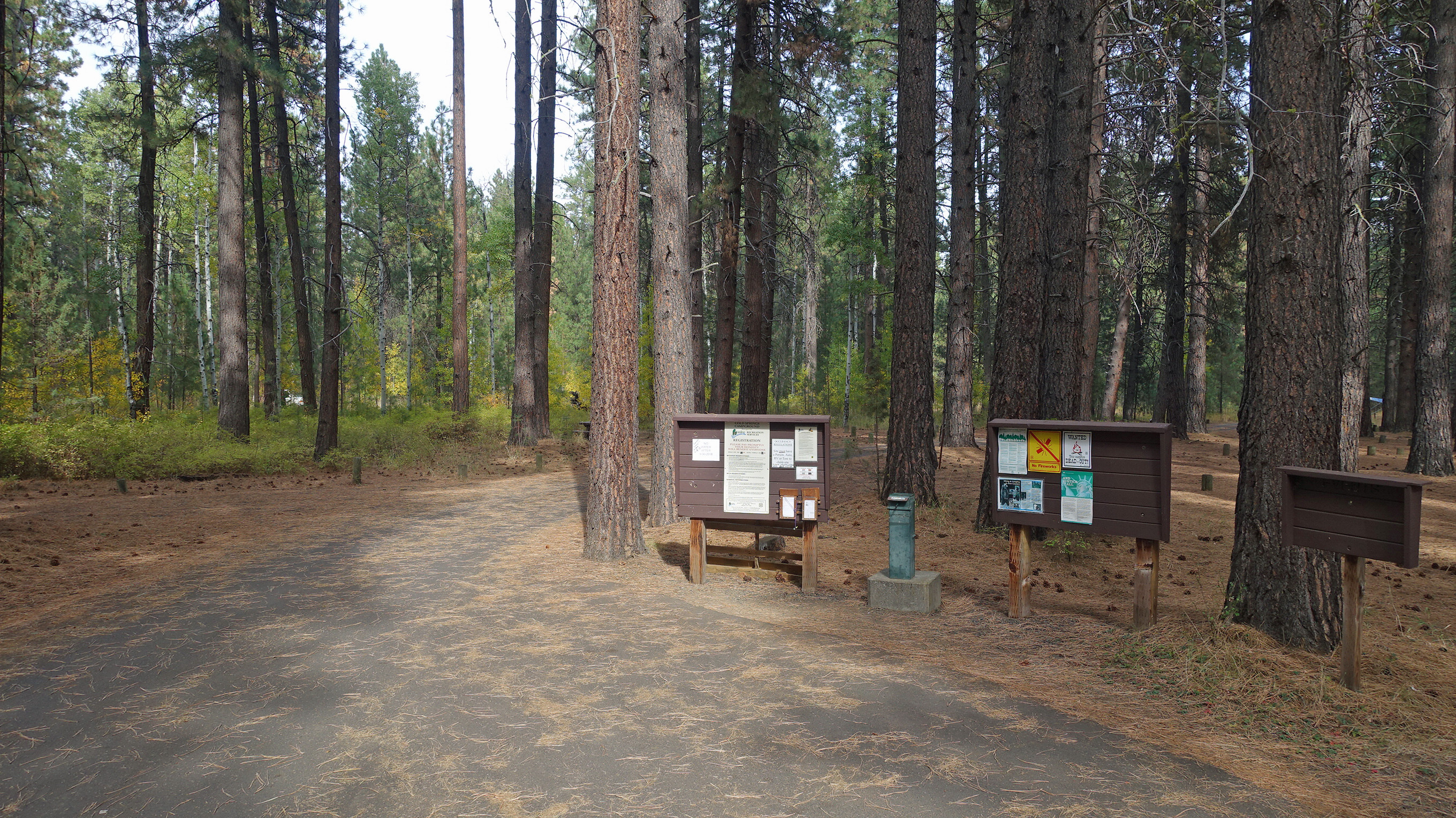 Photo of Cold Springs Campground | Roadtrippers