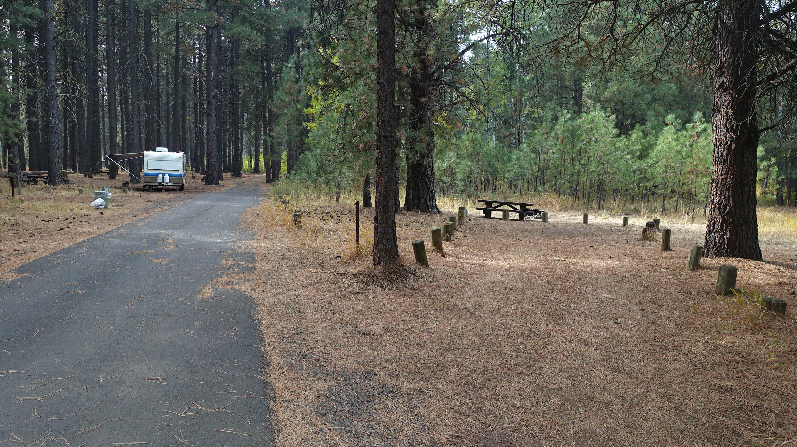 Photo of Cold Springs Campground | Roadtrippers