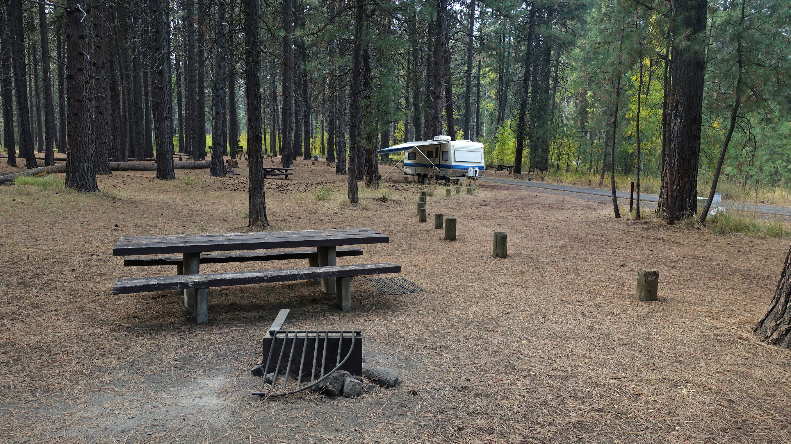 Photo of Cold Springs Campground | Roadtrippers