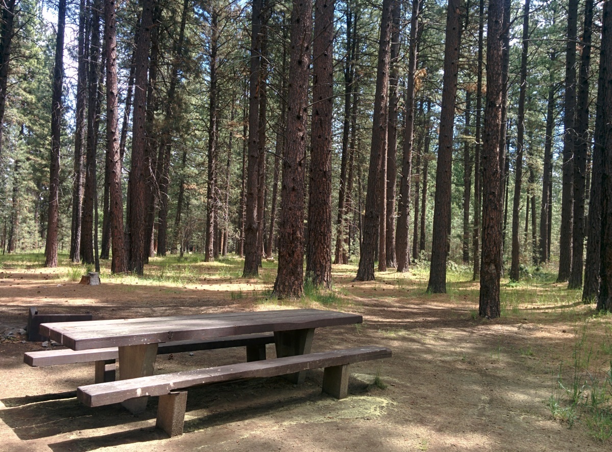 Photo of Cold Springs Campground | Roadtrippers