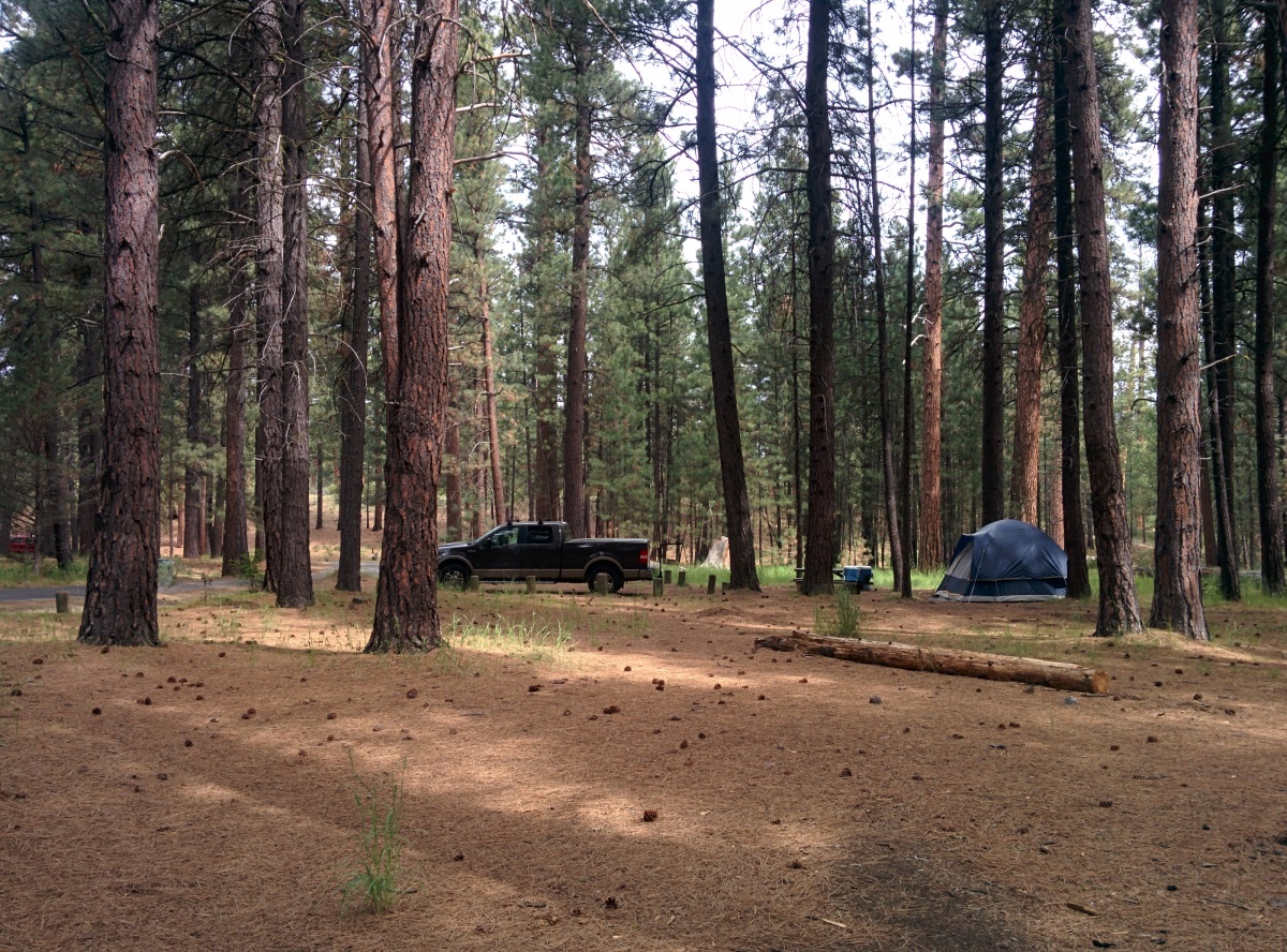 Photo of Cold Springs Campground | Roadtrippers