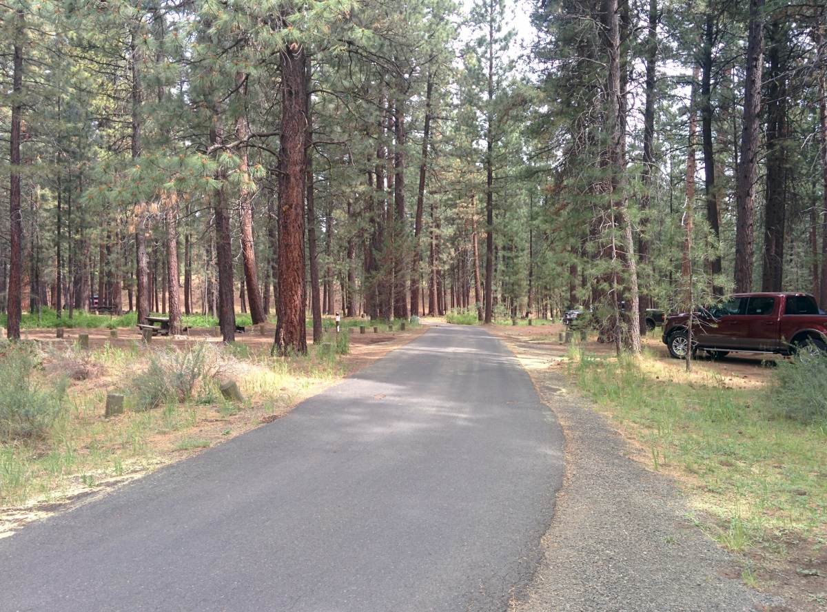 Photo of Cold Springs Campground | Roadtrippers