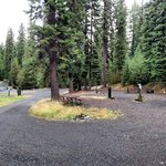 Cutsforth Park Campground Reviews - Campendium