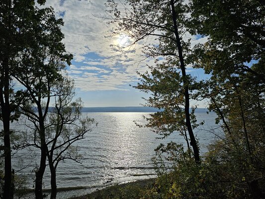 Back-Achers Campsites Reviews & Reservations updated 2026