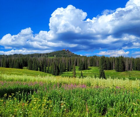 Rabbit Ears Peak Road Dispersed Camping Reviews updated 2025