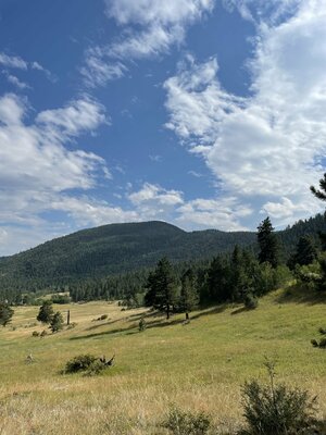 Bobcat Campground Reviews updated 2022