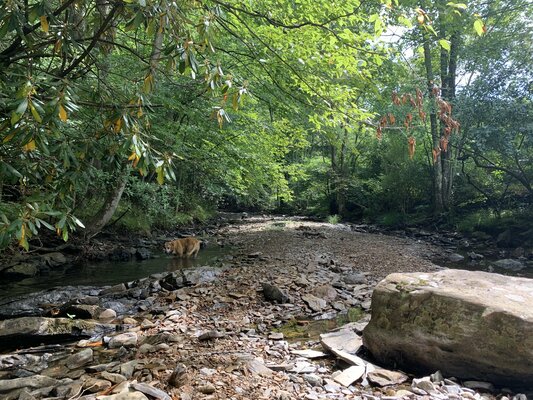 Boley Field Group Campground Reviews updated 2022