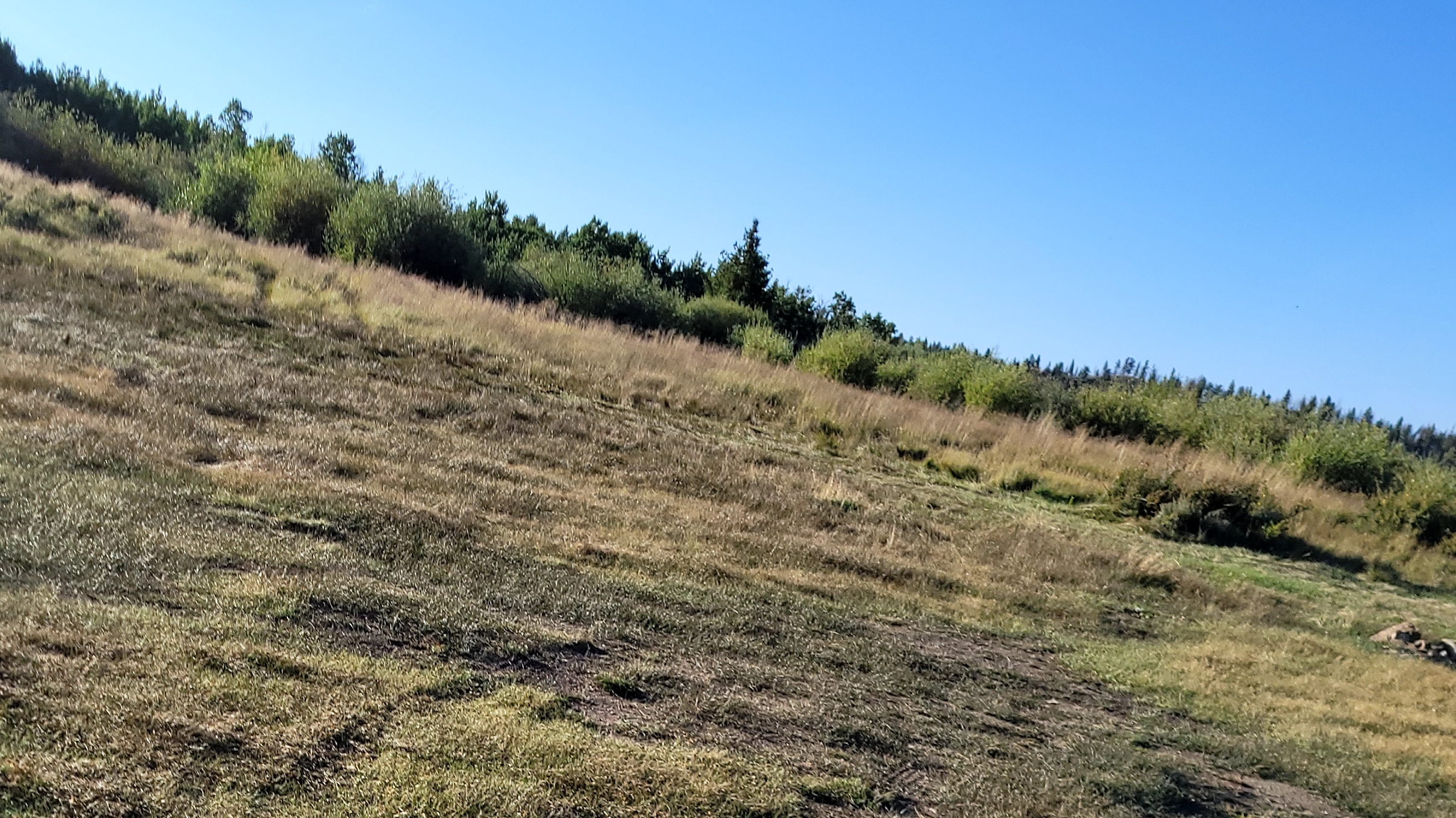 Cache Creek Dispersed Camping Reviews updated 2026