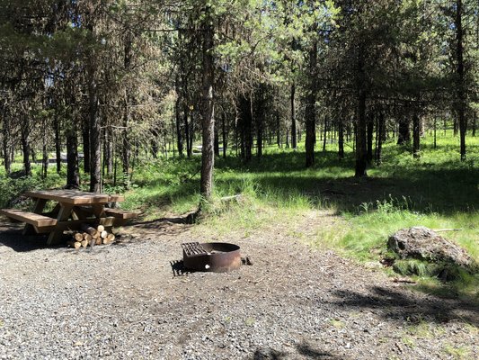 Frazier Campground & Trailhead Reviews updated 2026