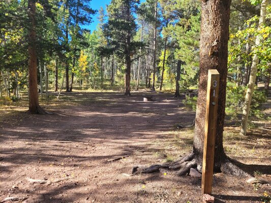 Timberline Campground Reviews updated 2025