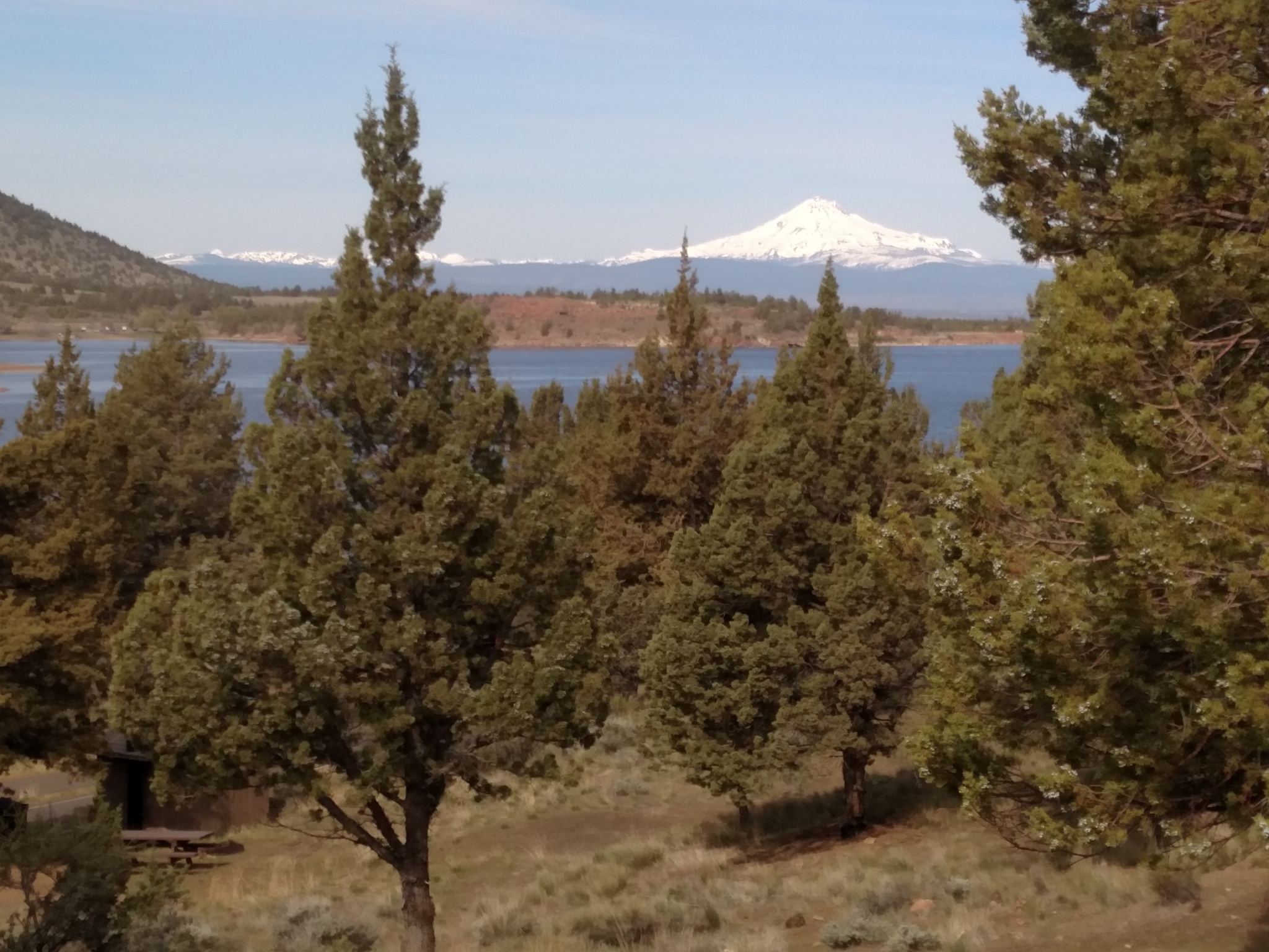 Haystack Reservoir Campground Reviews updated 2025