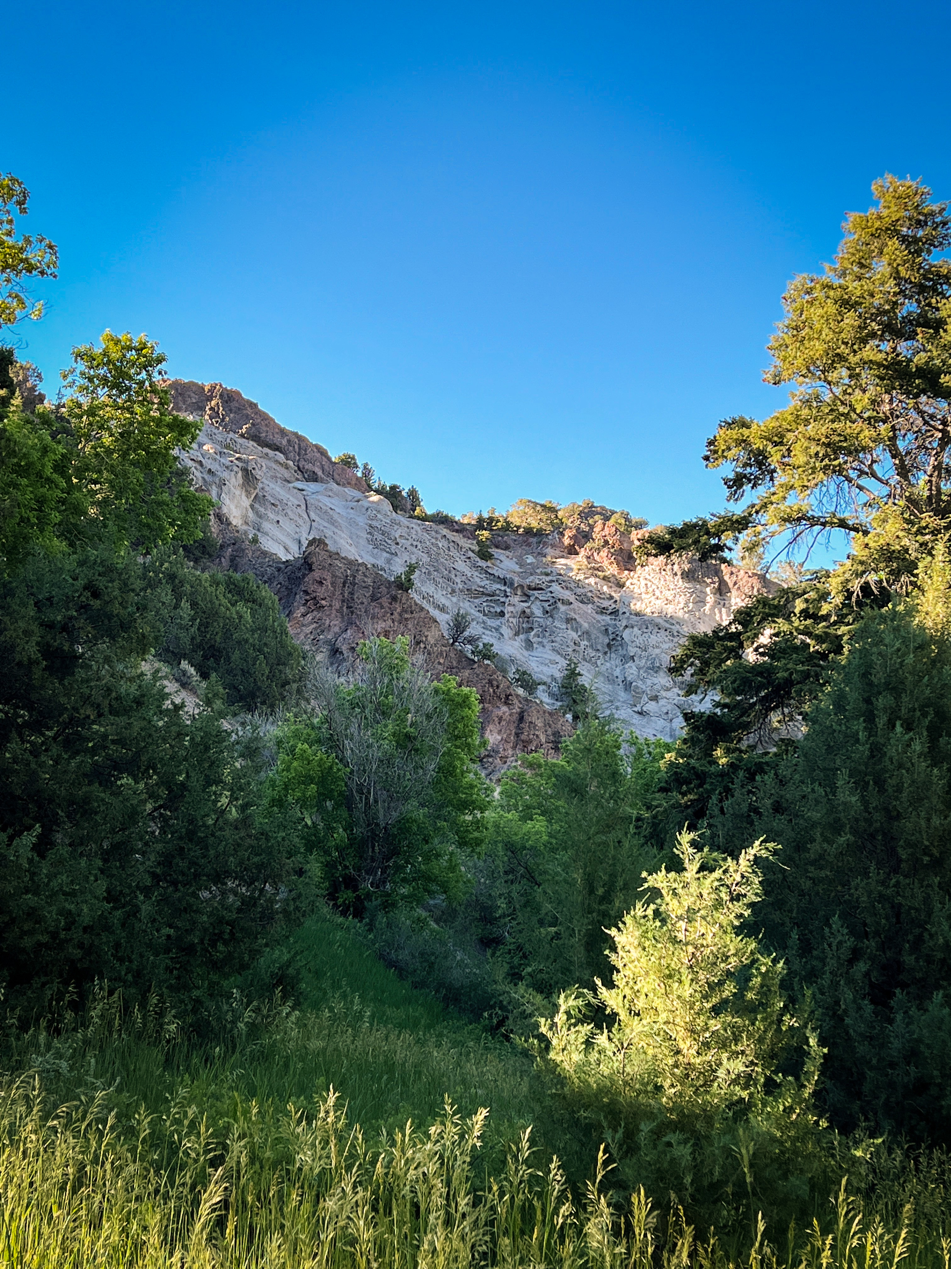 Intake Campground Reviews updated 2026