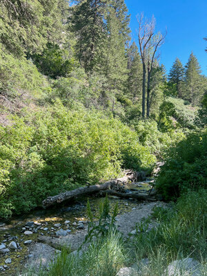 Intake Campground Reviews updated 2025