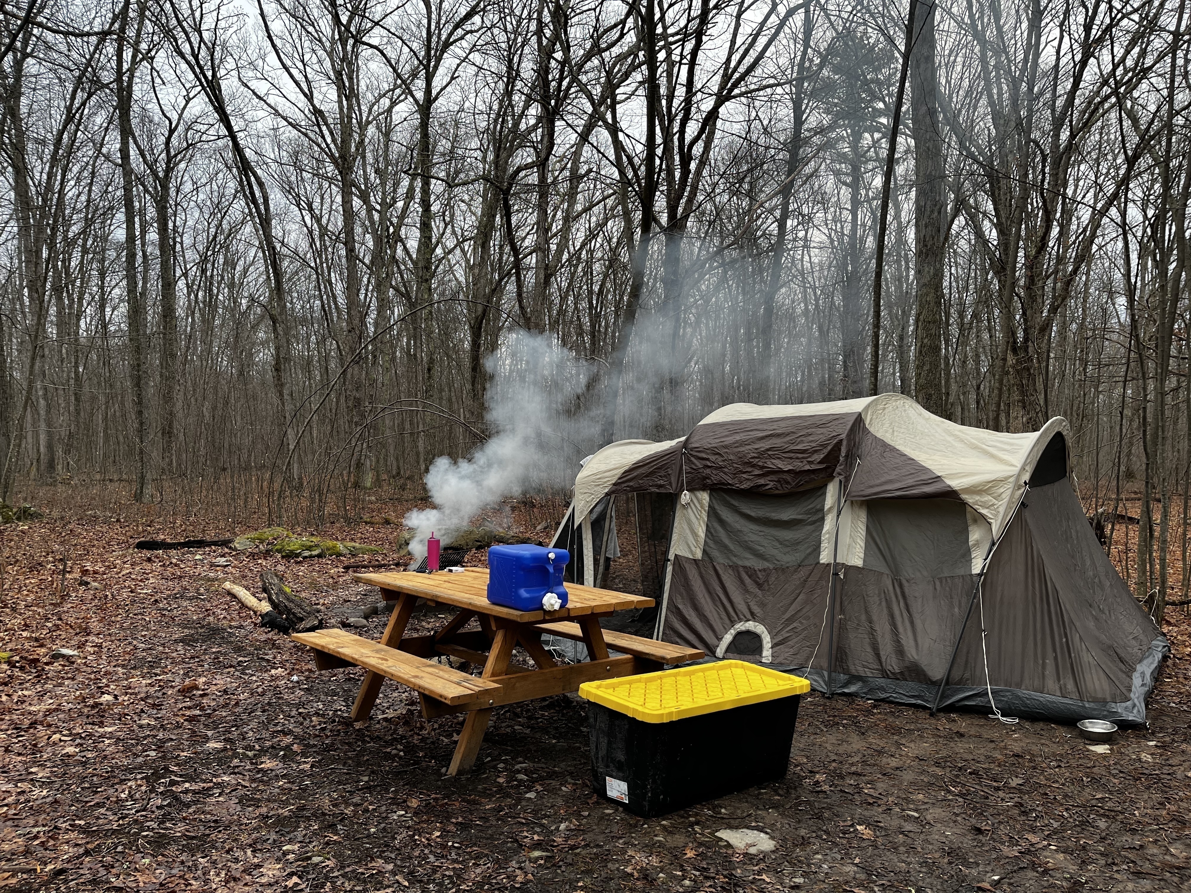 Thunder Swamp Designated Dispersed Campsite 6 Reviews updated 2026