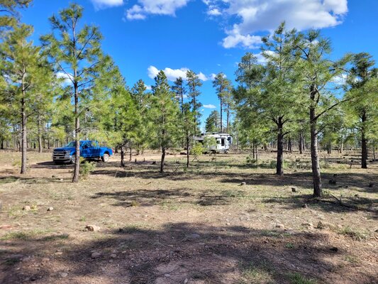 Mogollon Rim Dispersed Camping Reviews updated 2025