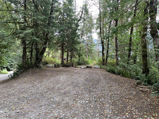 Baker Lake Road Dispersed Campsite Reviews updated 2025