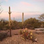 Gilbert Ray Campground Reviews - Campendium