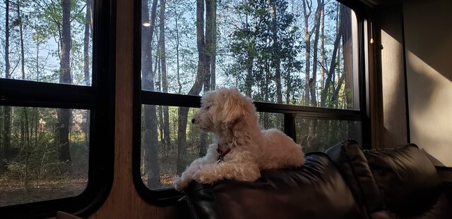 JB Charleston AFB RV FamCamp Reviews updated 2025