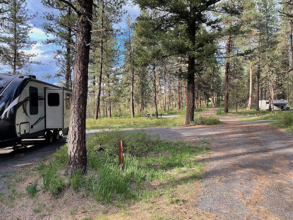 Lower Camp Creek Forest Camp Reviews