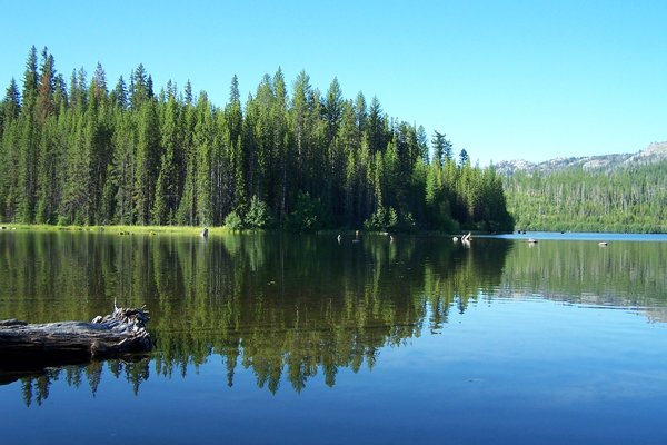 Olive Lake Campground Reviews updated 2025