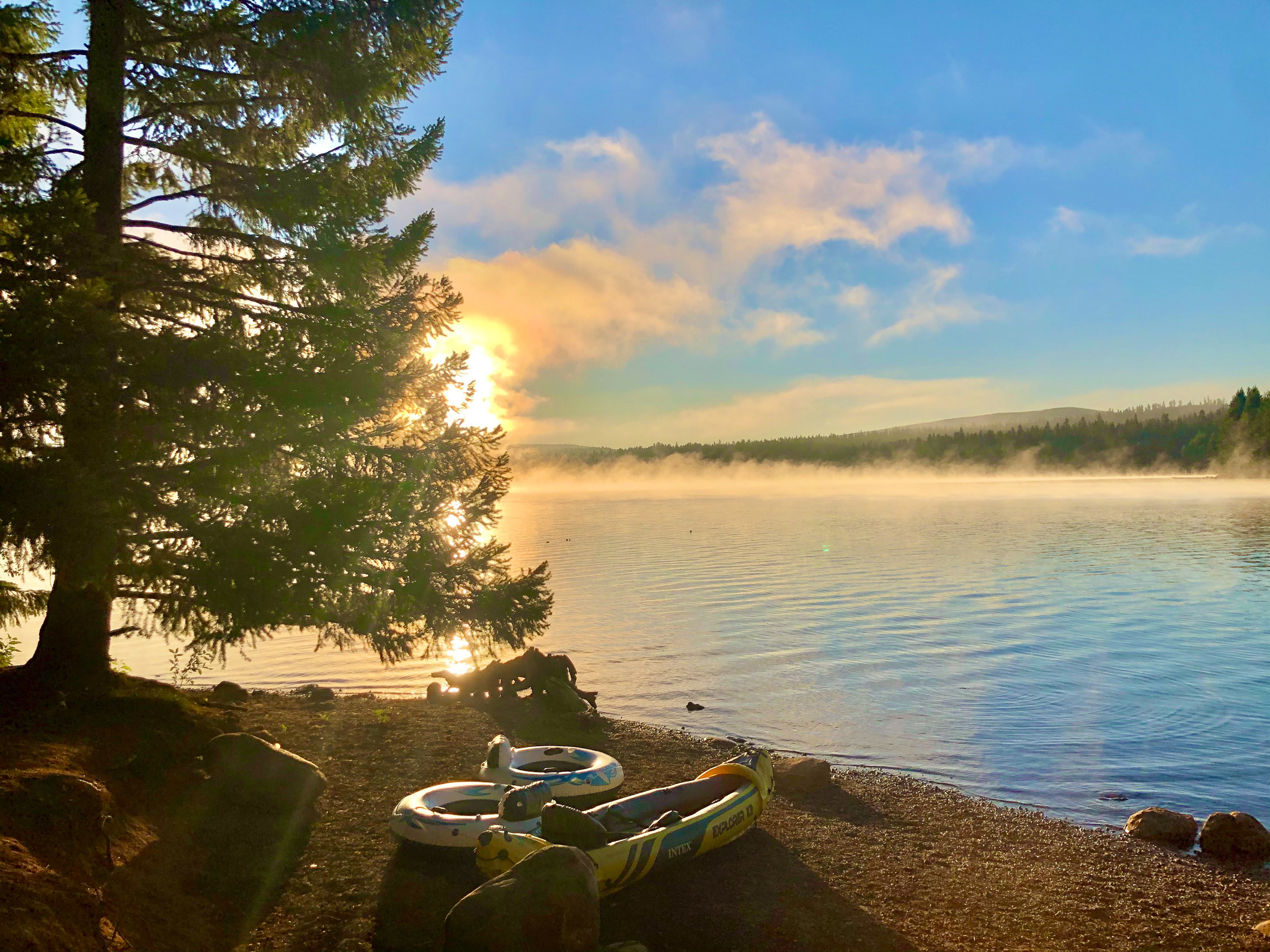 Pine Point Campground Reviews updated 2025