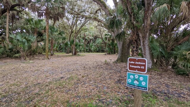 Lake Jackson Designated Dispersed Camping Reviews updated 2025