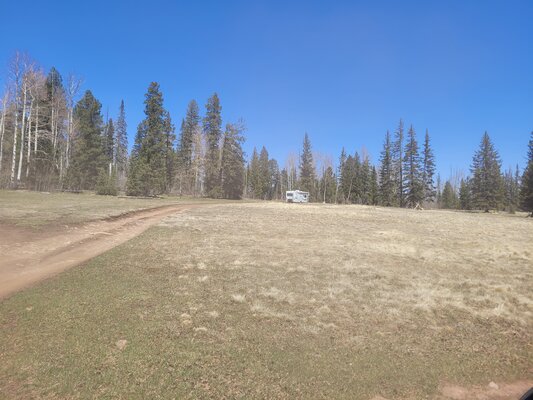 Sugar Spring Dispersed Camping Reviews
