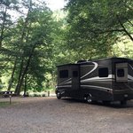 Henry Rierson Spruce Run Campground Reviews - Campendium