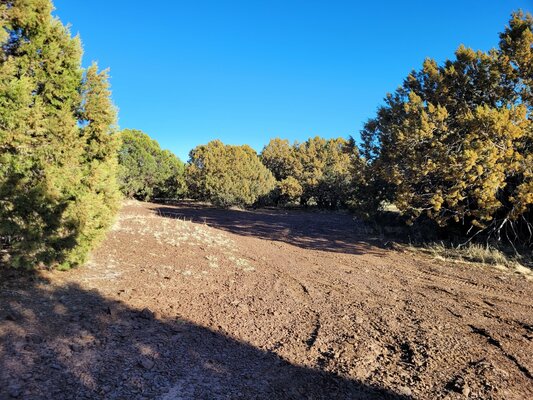 Timber Mesa Dispersed Camping Reviews updated 2025