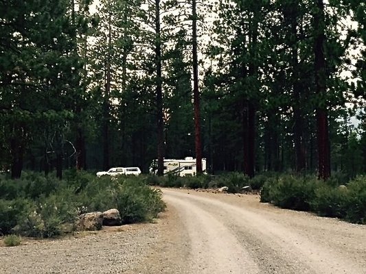 Williamson River Campground Reviews updated 2020