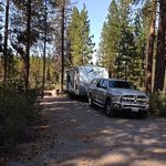 Williamson River Campground Reviews - Campendium