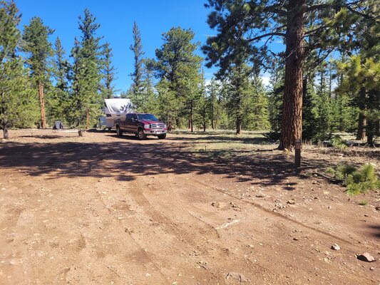 Chubb Park Ranch Designated Dispersed Campsites #9-11 Reviews updated 2026