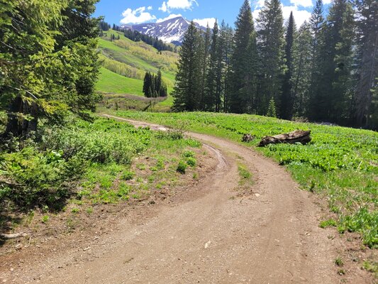 Gothic Road Designated Dispersed Campsite #10 Reviews updated 2025