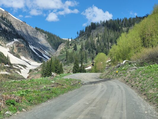 Gothic Road Designated Dispersed Campsite #14 Reviews updated 2025