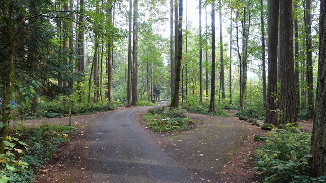 Battle Ground Lake State Park Reviews updated 2020
