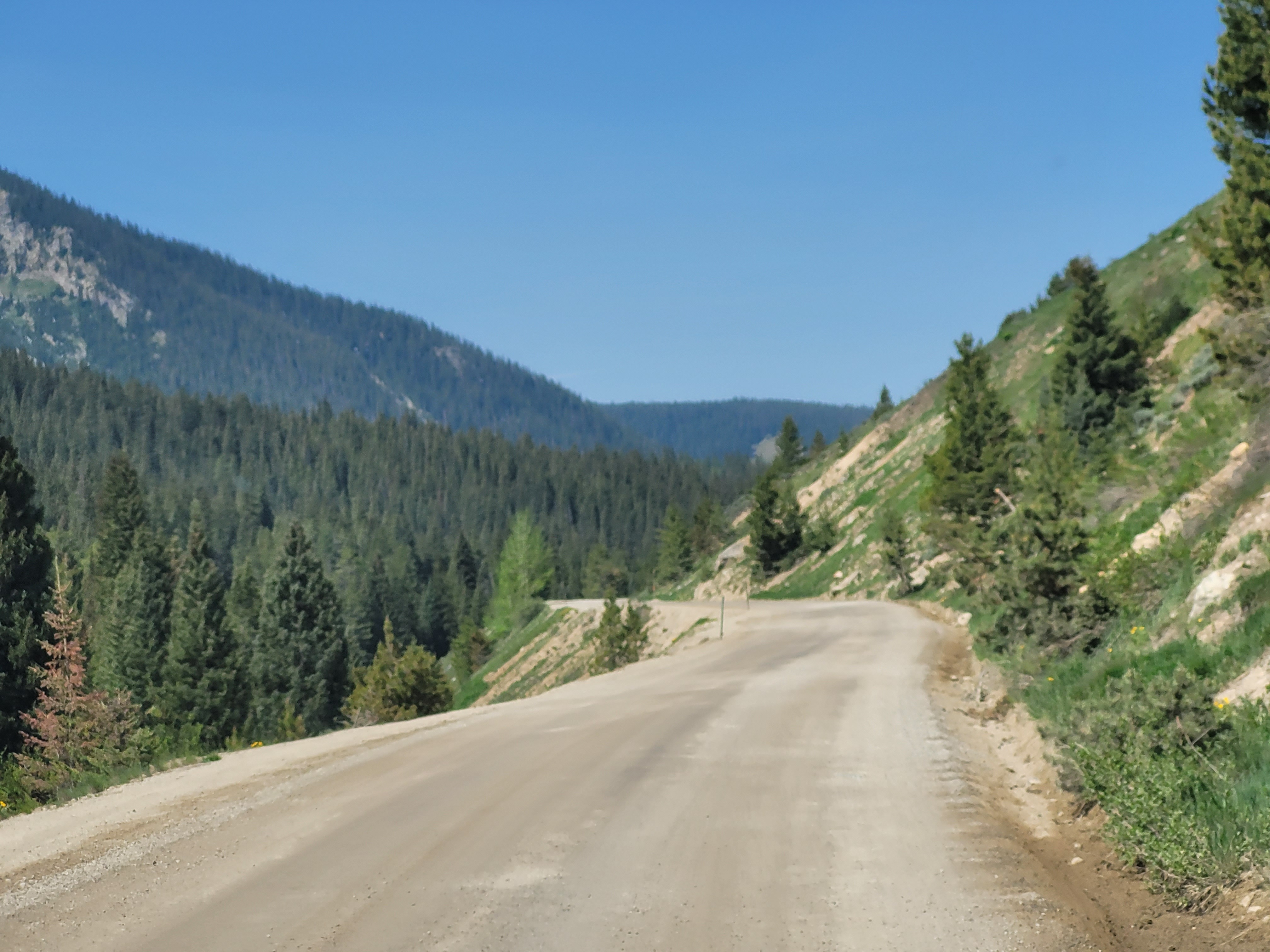 Kebler Pass Designated Dispersed Campsites #7-9 Reviews