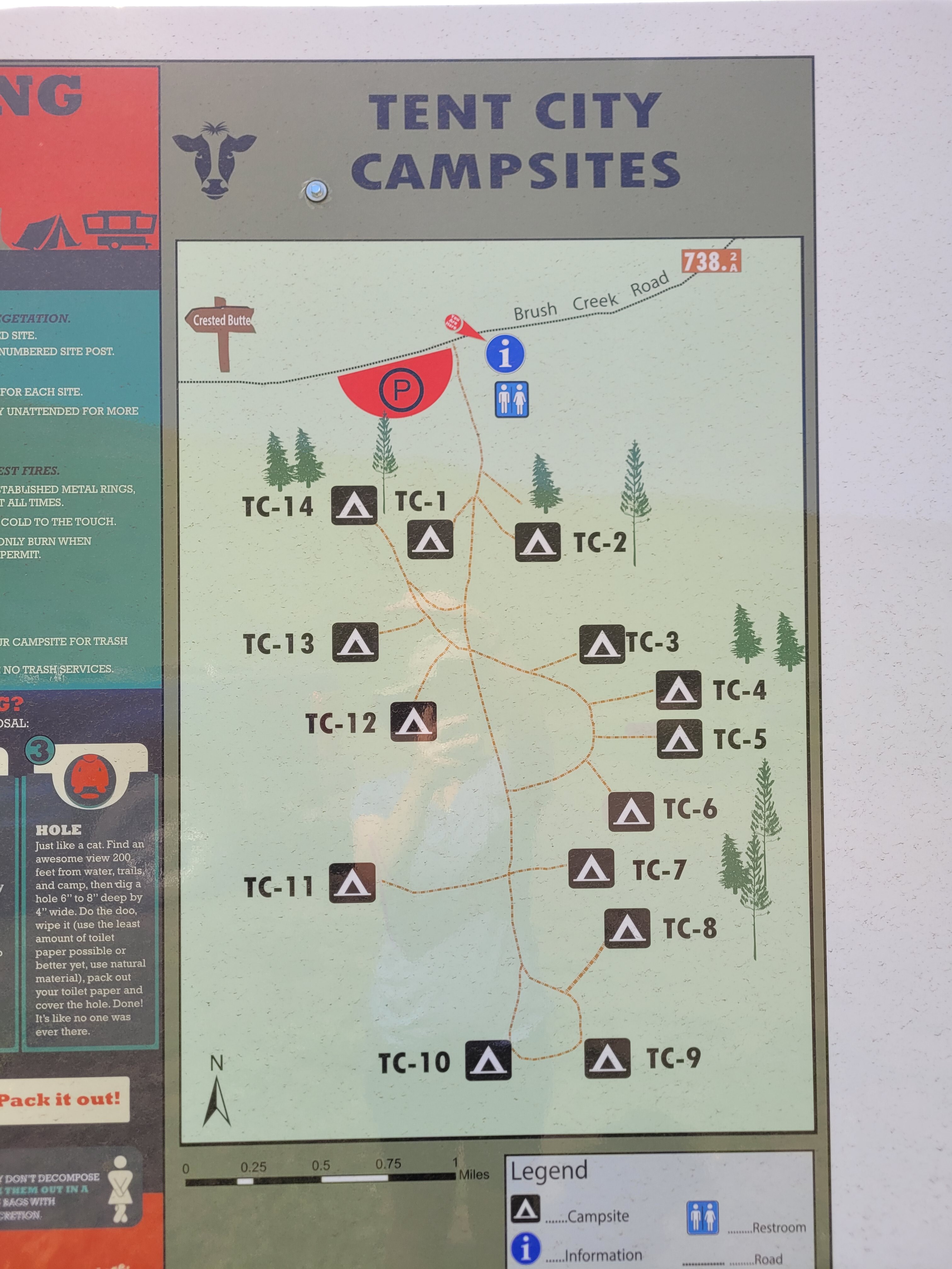 Tent City Designated Dispersed Campsite #8 Reviews updated 2025