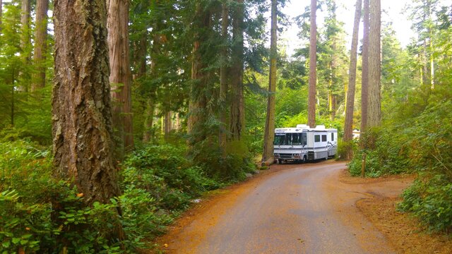 Cranberry Lake Campground Reviews updated 2025