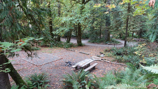 Falls Creek Campground Reviews updated 2022