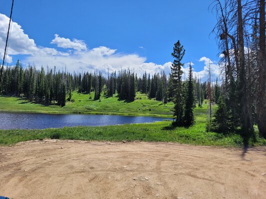 East Buffalo Pass Dispersed Camping Reviews updated 2025