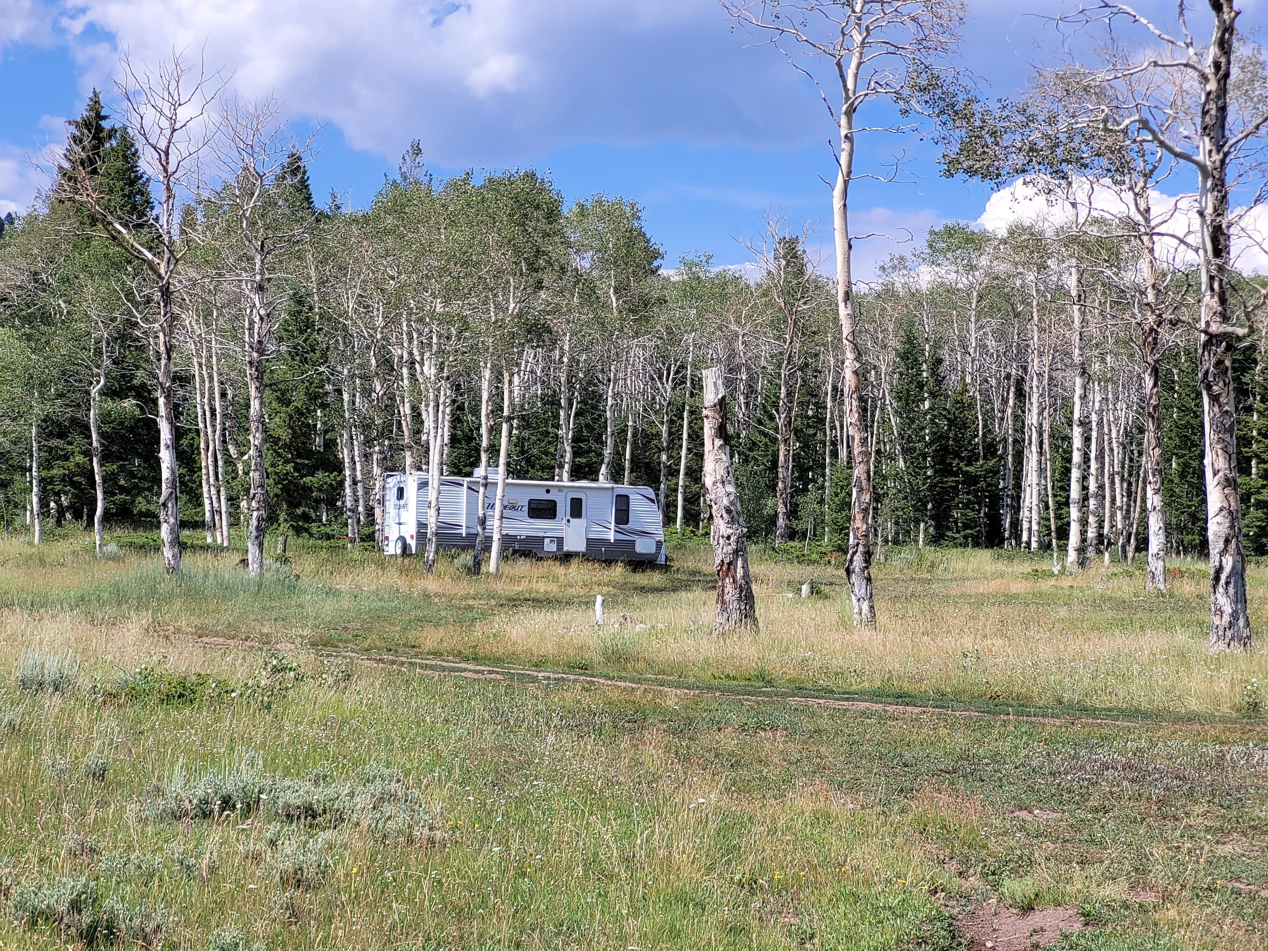 Basset Spring Dispersed Camping Reviews