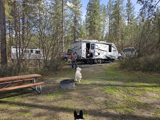 Hunters Campground Reviews updated 2025