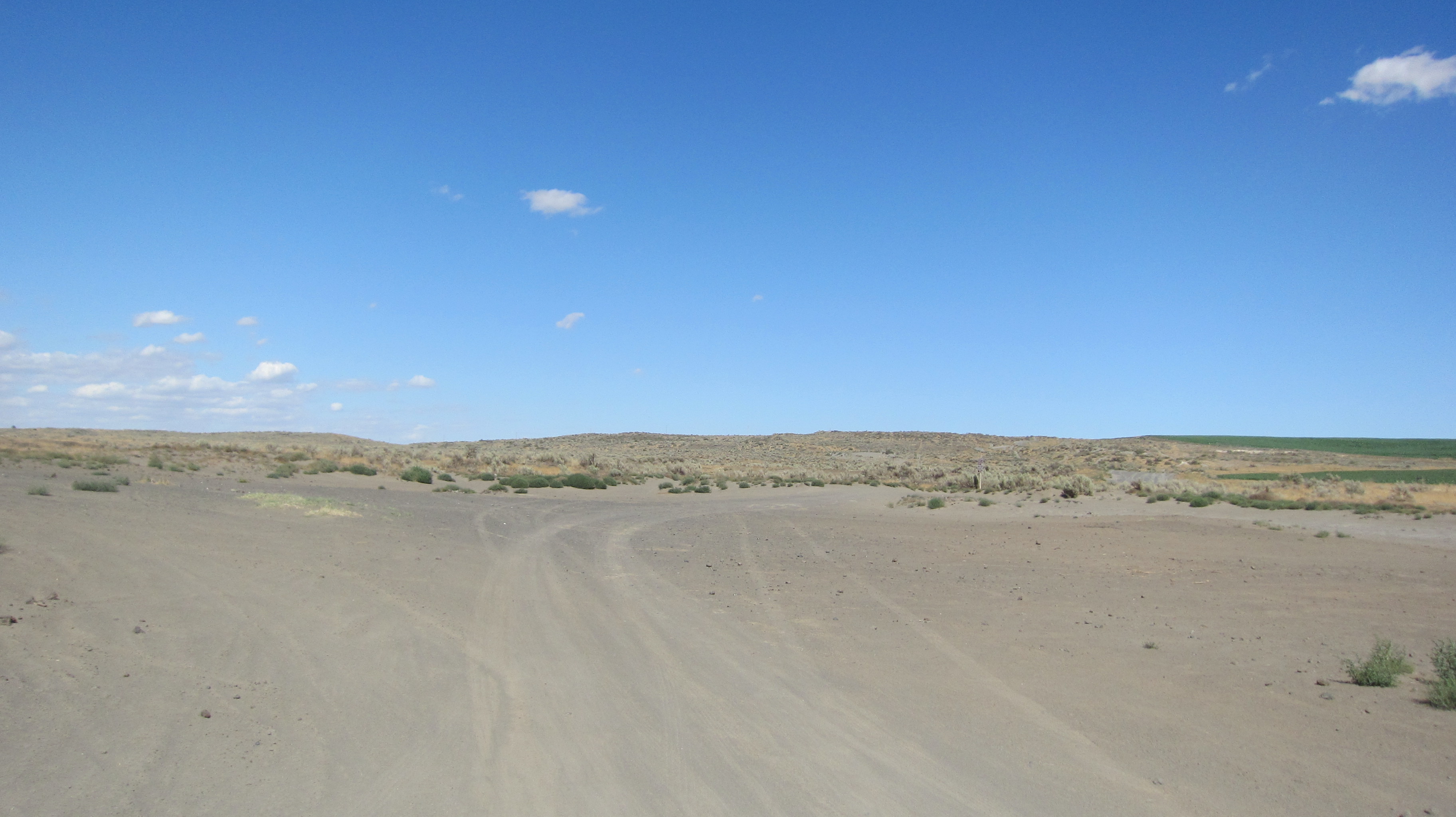 Juniper Dunes Wilderness Area Reviews updated 2025