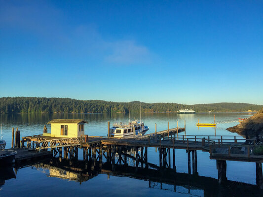 Moran State Park Reviews updated 2022