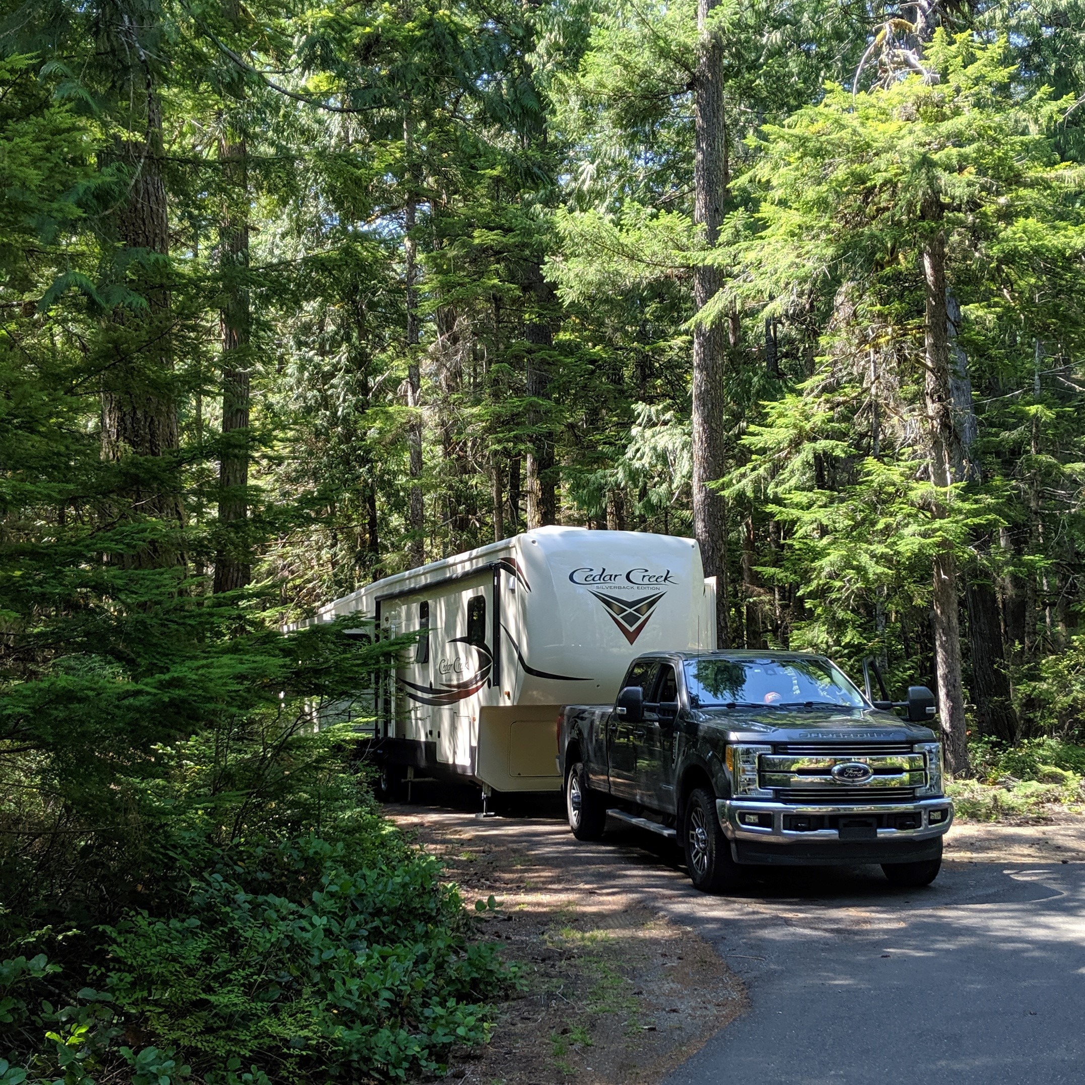 Newhalem Creek Campground Reviews updated 2026