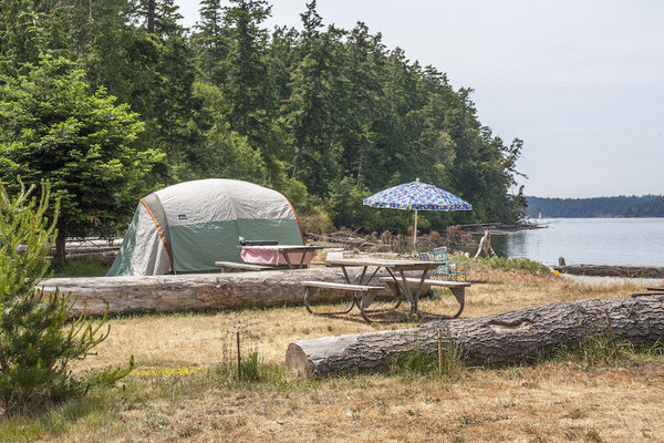 Odlin Park Reviews updated 2025